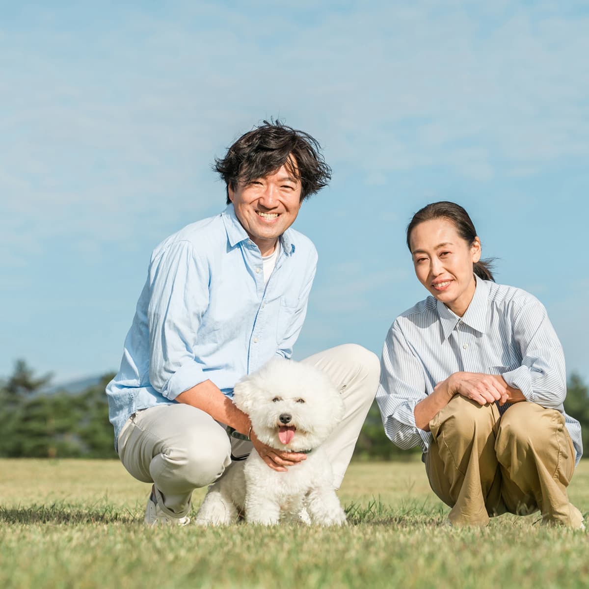 SHEAB method : シーアブメソッド