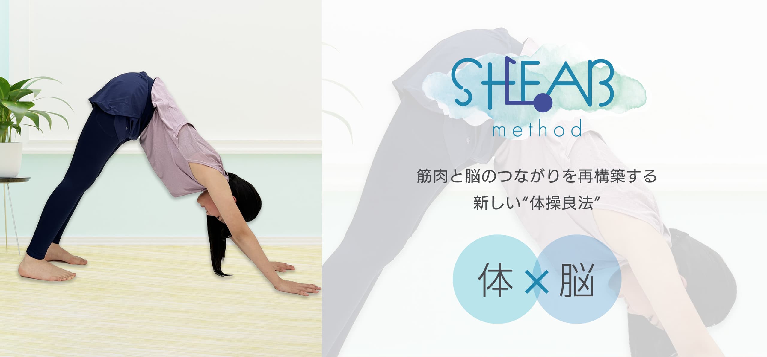 SHEAB method : シーアブメソッド