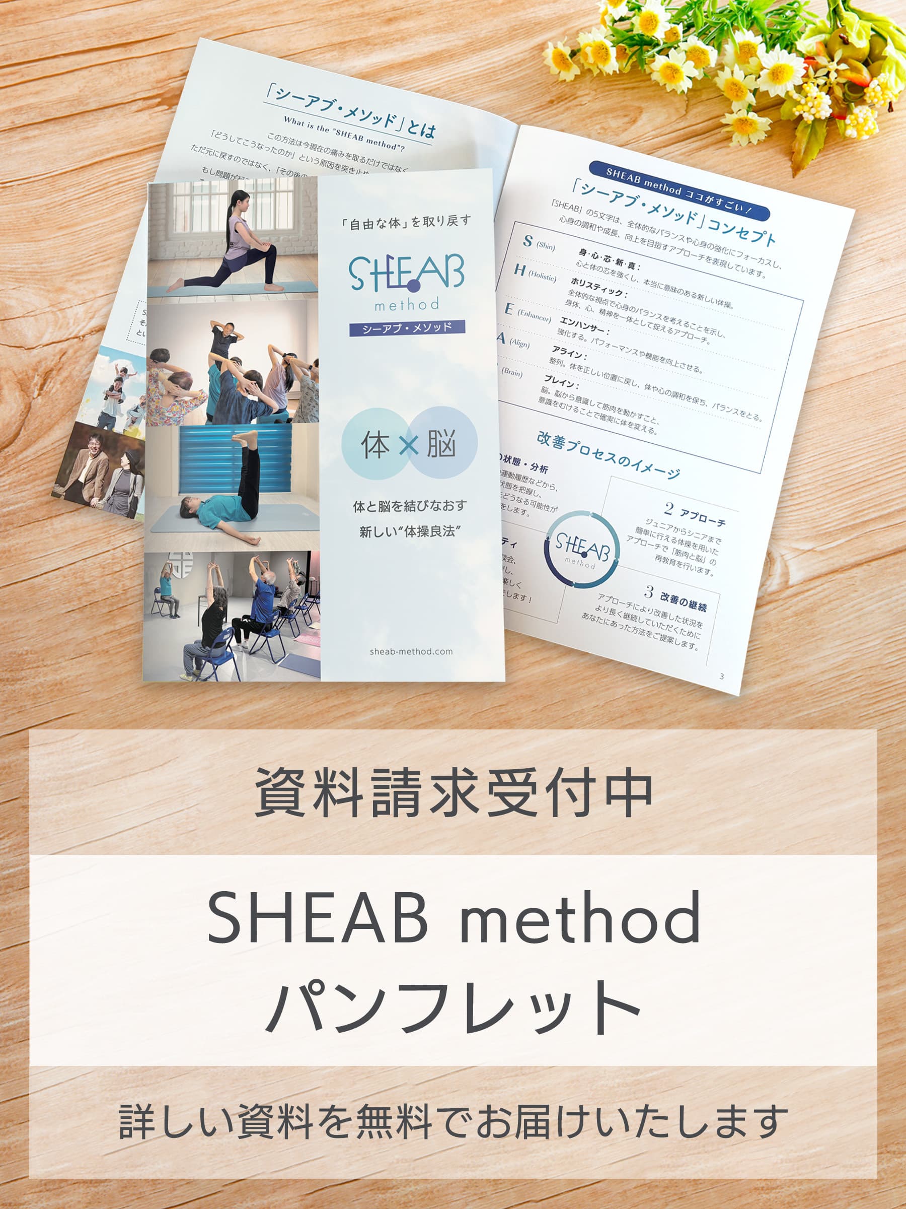 SHEAB method : シーアブメソッド